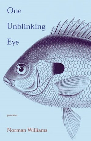 One Unblinking Eye