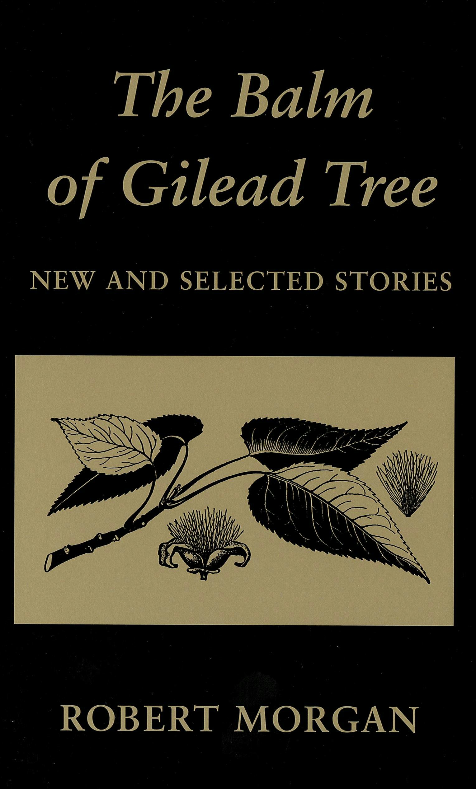The Balm of Gilead Tree